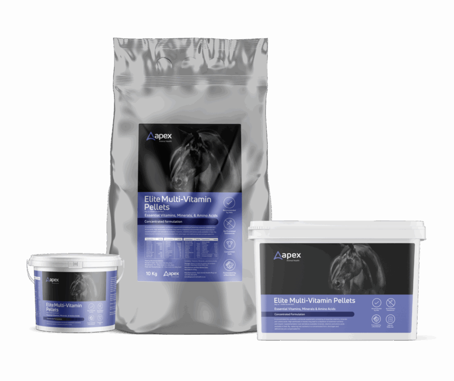 Apex Elite Multi Vitamin Pellets – Orange Horse