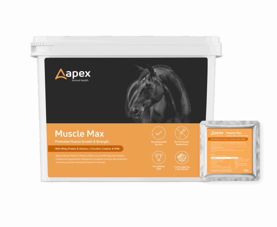 Apex Muscle Max – Orange Horse