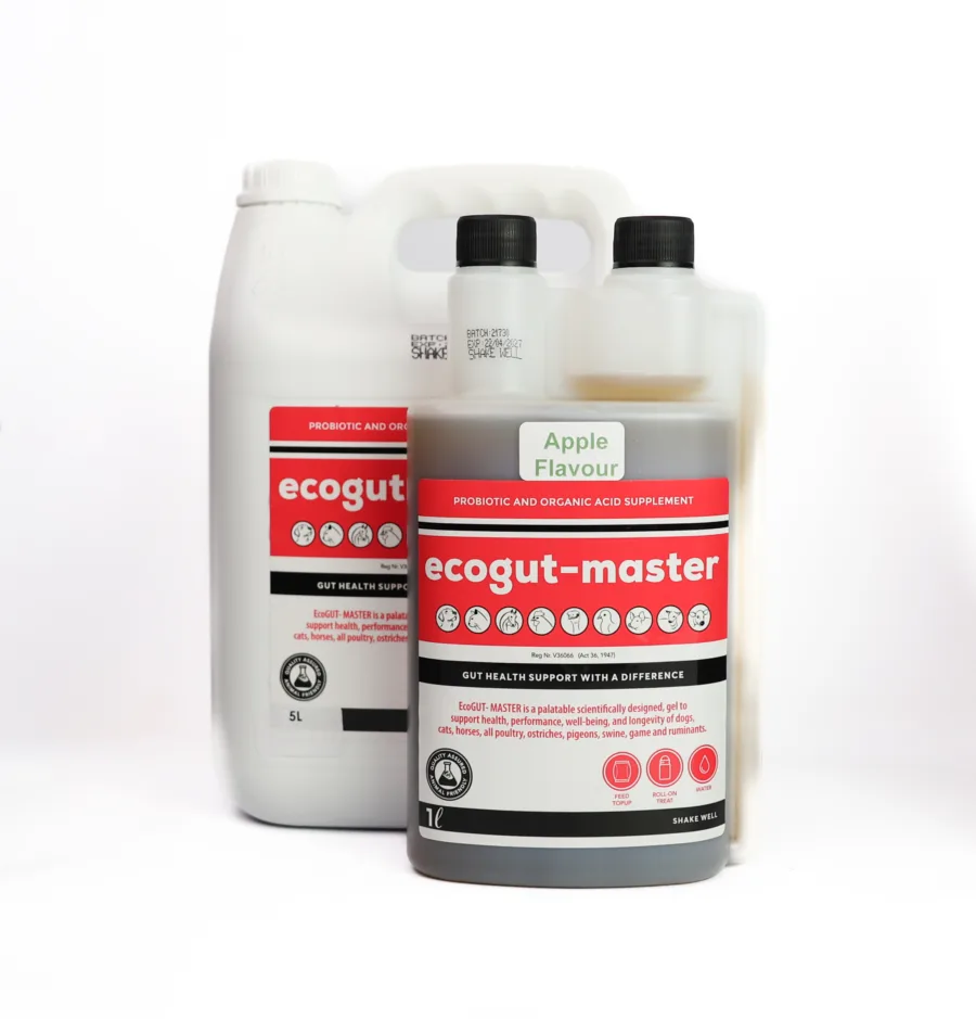 Camelus EcoGut Master Apple – Orange Horse