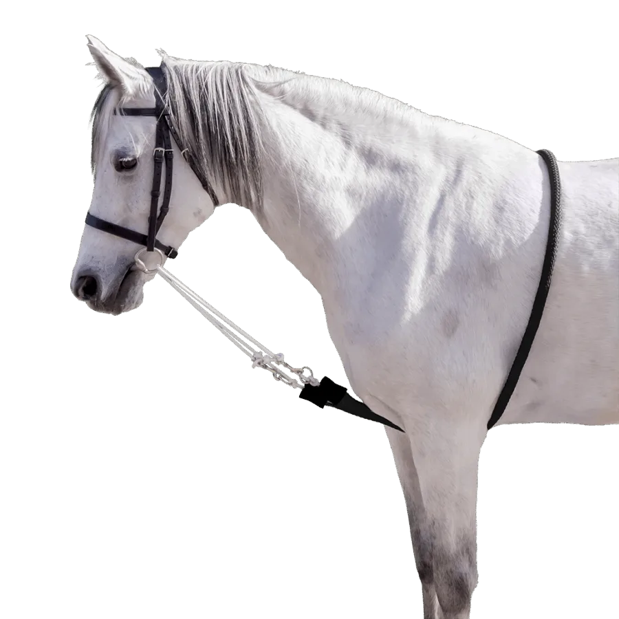Capriole Lunging Snake – Orange Horse