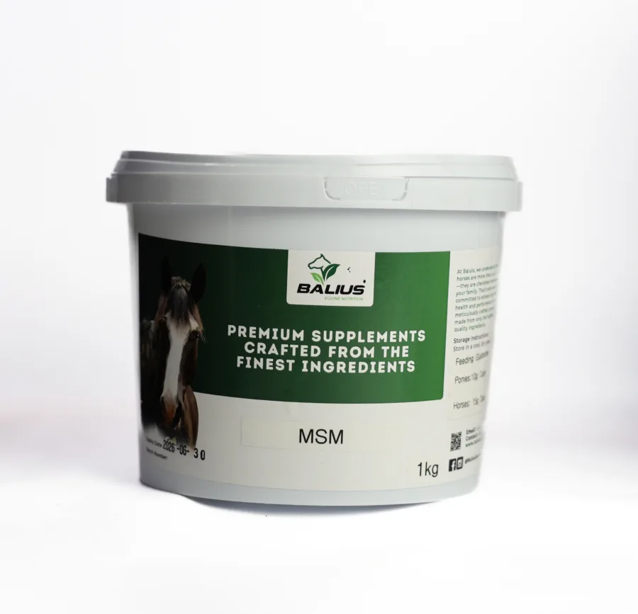Balius MSM Powder – Orange Horse