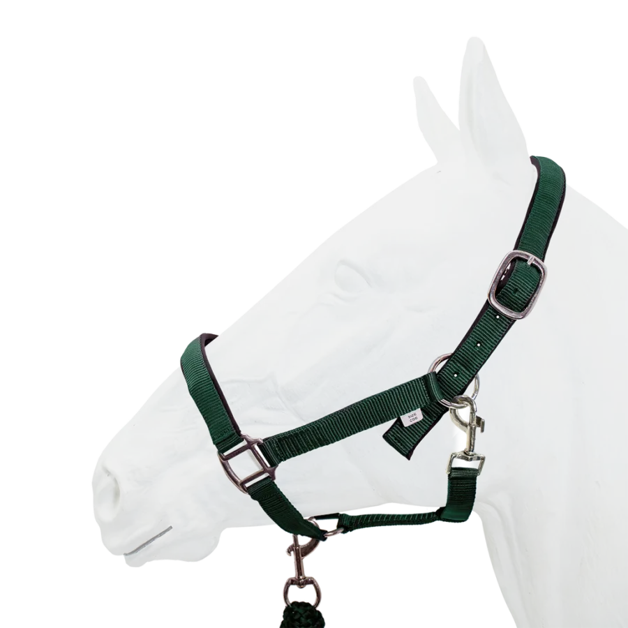 Equistyle Padded Halter with Rope Lead – Green – Orange Horse